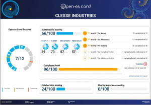 About Us – Clesse Group